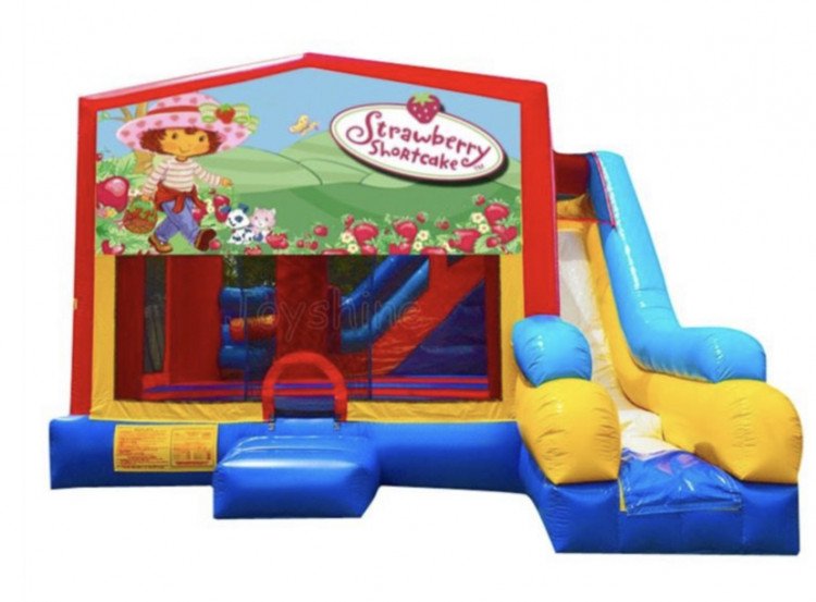 Strawberry Shortcake Theme 5n1 Combo Single Lane Slide - Jump for Joy ...